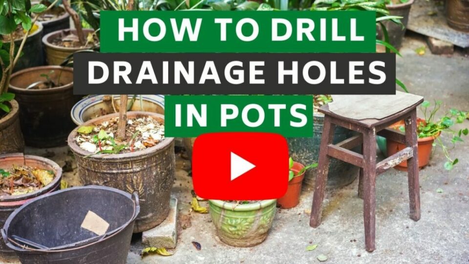How to drill a hole in a ceramic pot for drainage - keep your plants alive