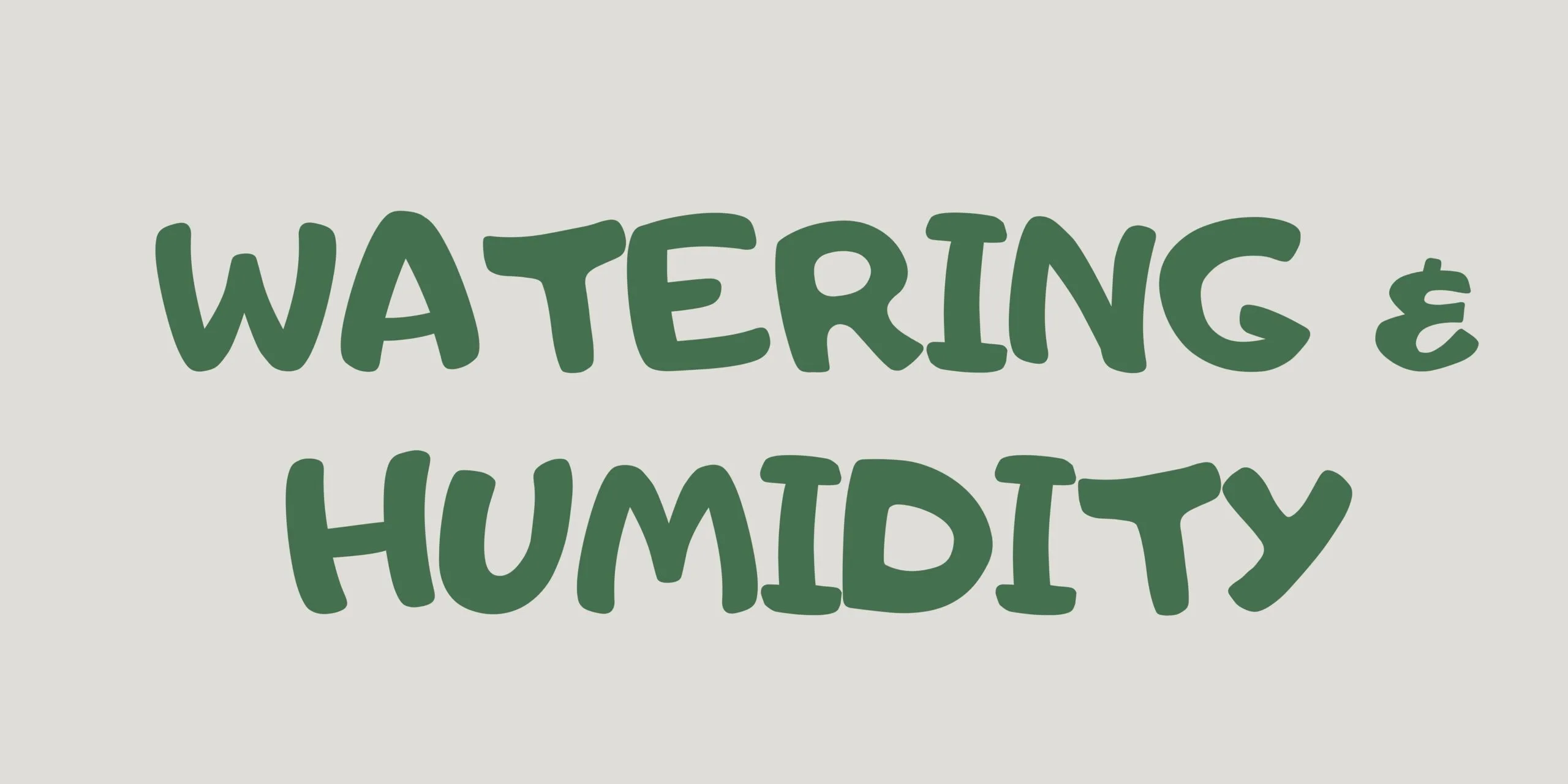 Plant Care 101 - keep your plants alive