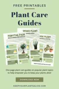 Printable Plant Care Guides - keep your plants alive