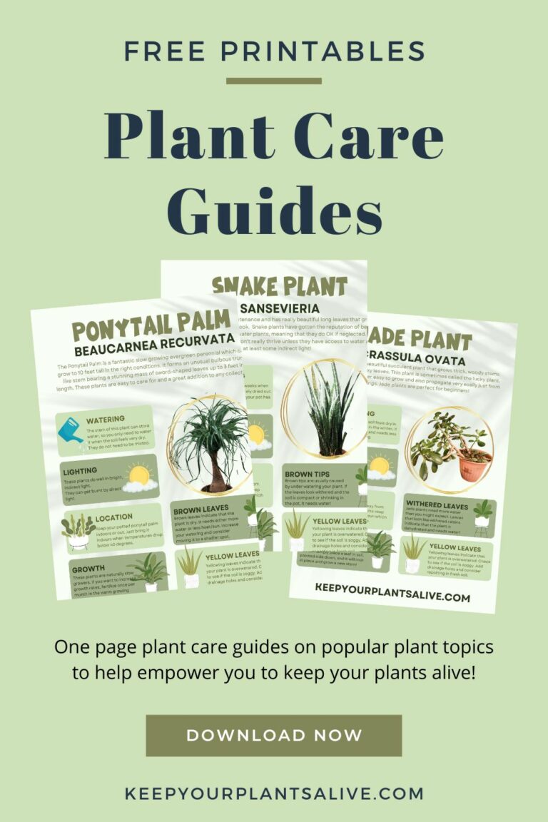 Printable Plant Care Guides - keep your plants alive