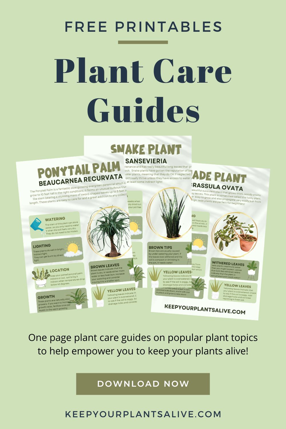 Printable Plant Care Guides - keep your plants alive