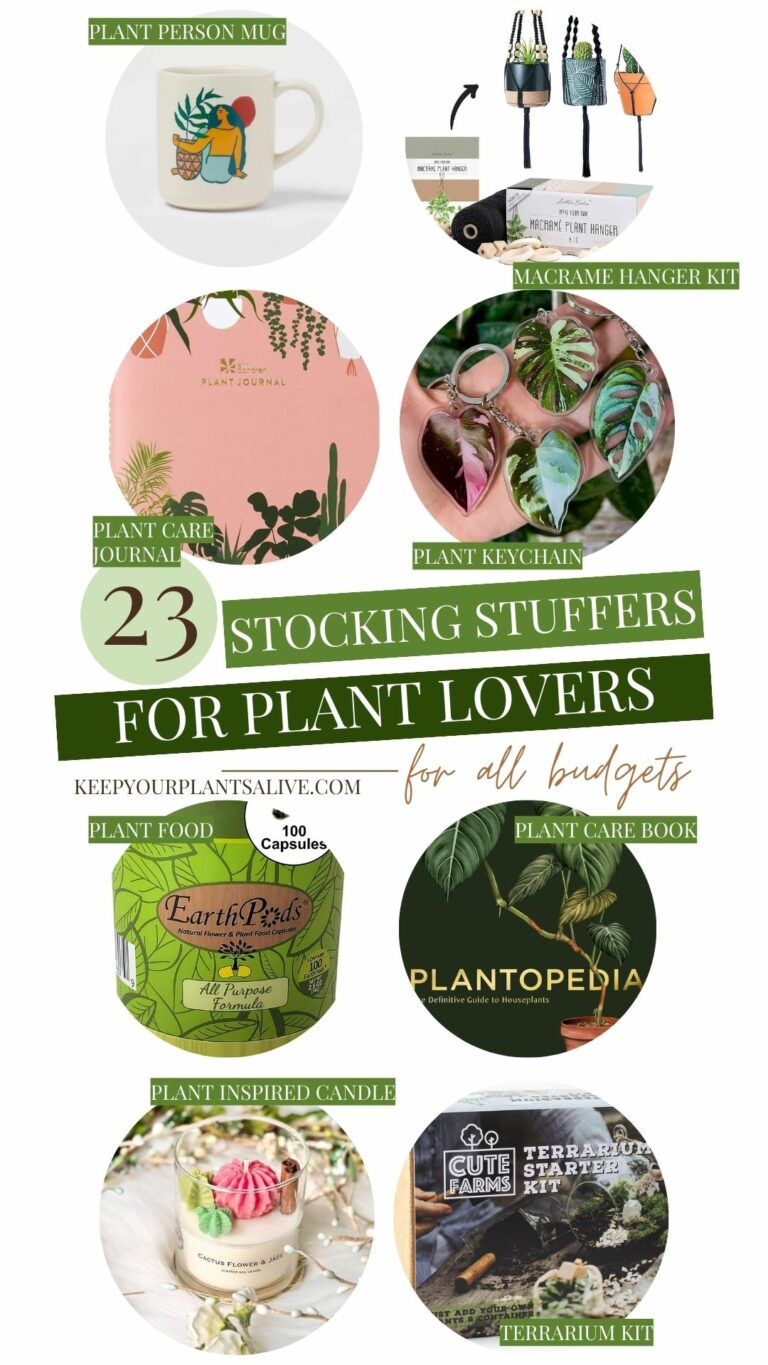 23 Best stocking stuffers for houseplant lovers - keep your plants alive