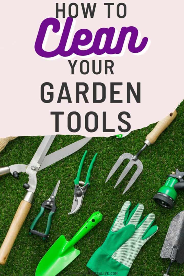 How to clean your garden tools - keep your plants alive