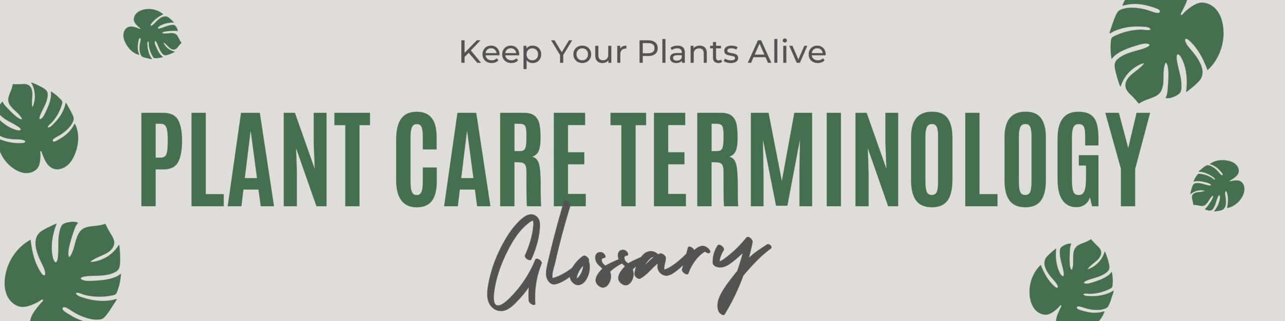 Glossary of Plant Terminology - keep your plants alive