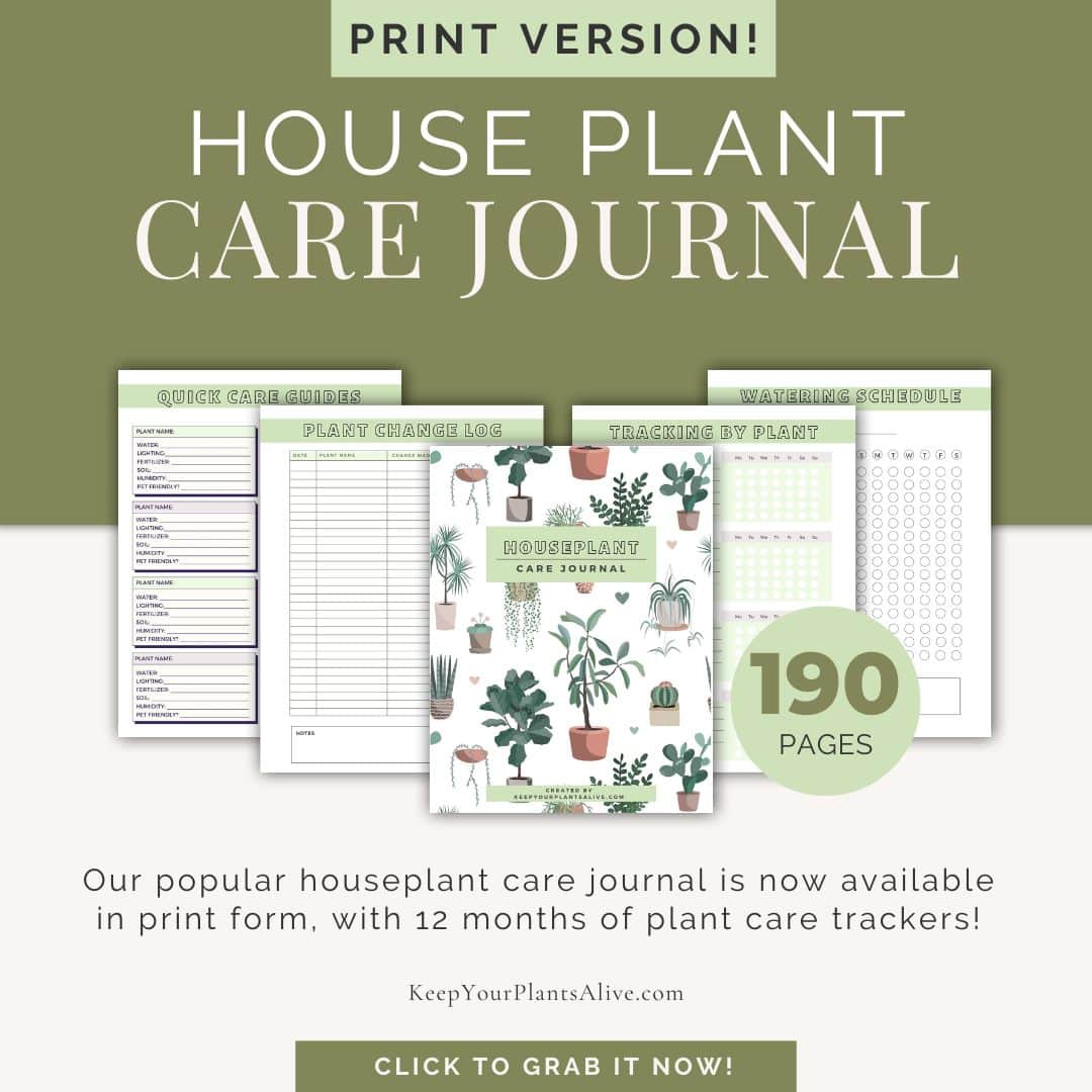 BRAND NEW!!! Printed Houseplant Care Journal - keep your plants alive