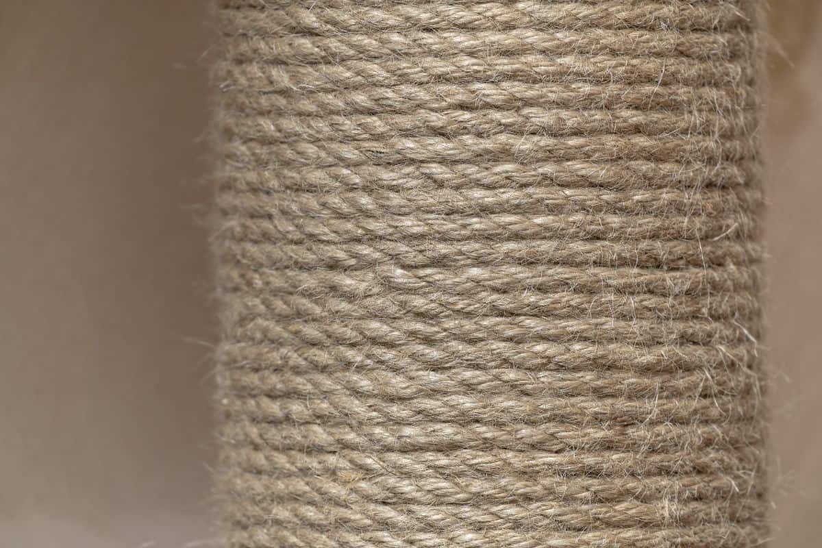 Moss Pole Alternatives: 12 Solutions to Support Your Plants - keep your ...